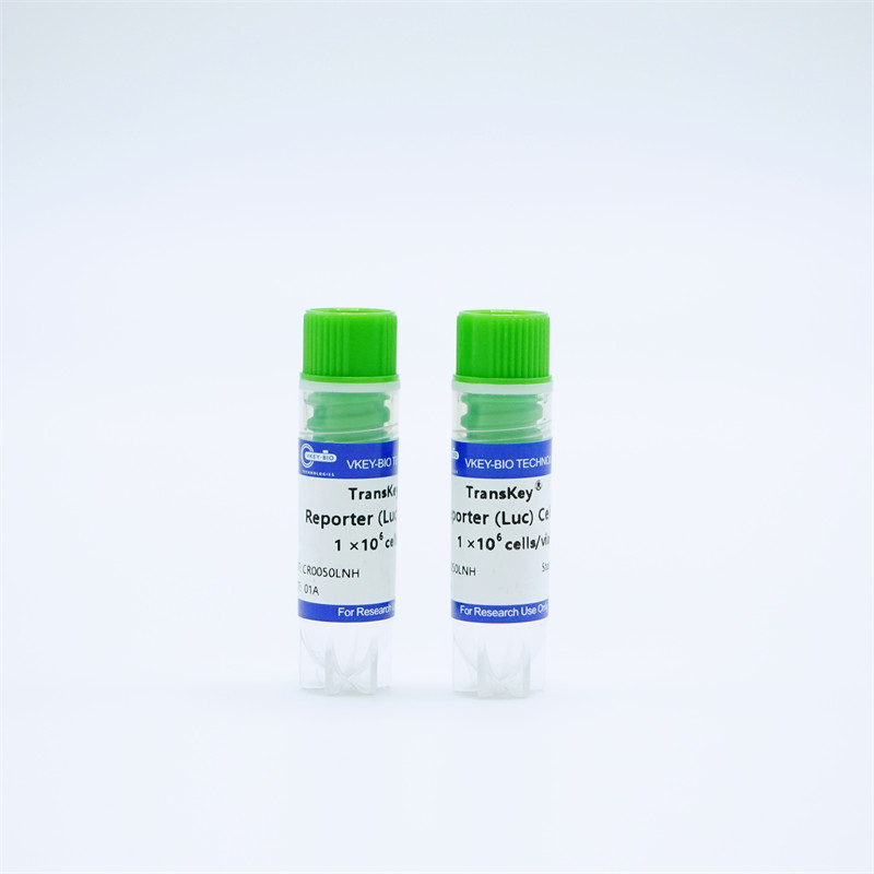TransKey® Jurkat NFAT Reporter (Luc) Cell Line